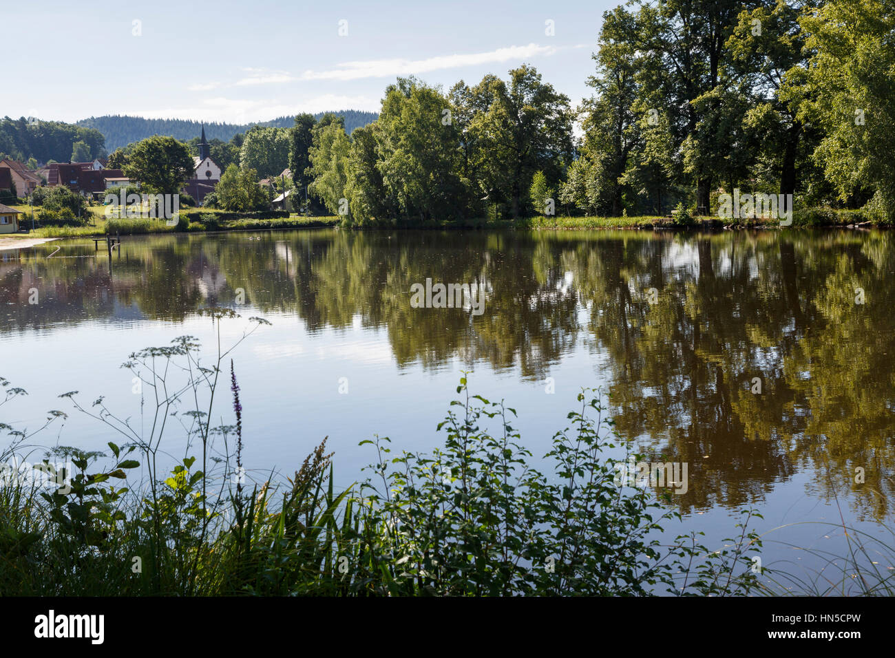 La Zinsel du Nord lake, Baerenthal, Moselle, Lorraine, France Stock ...