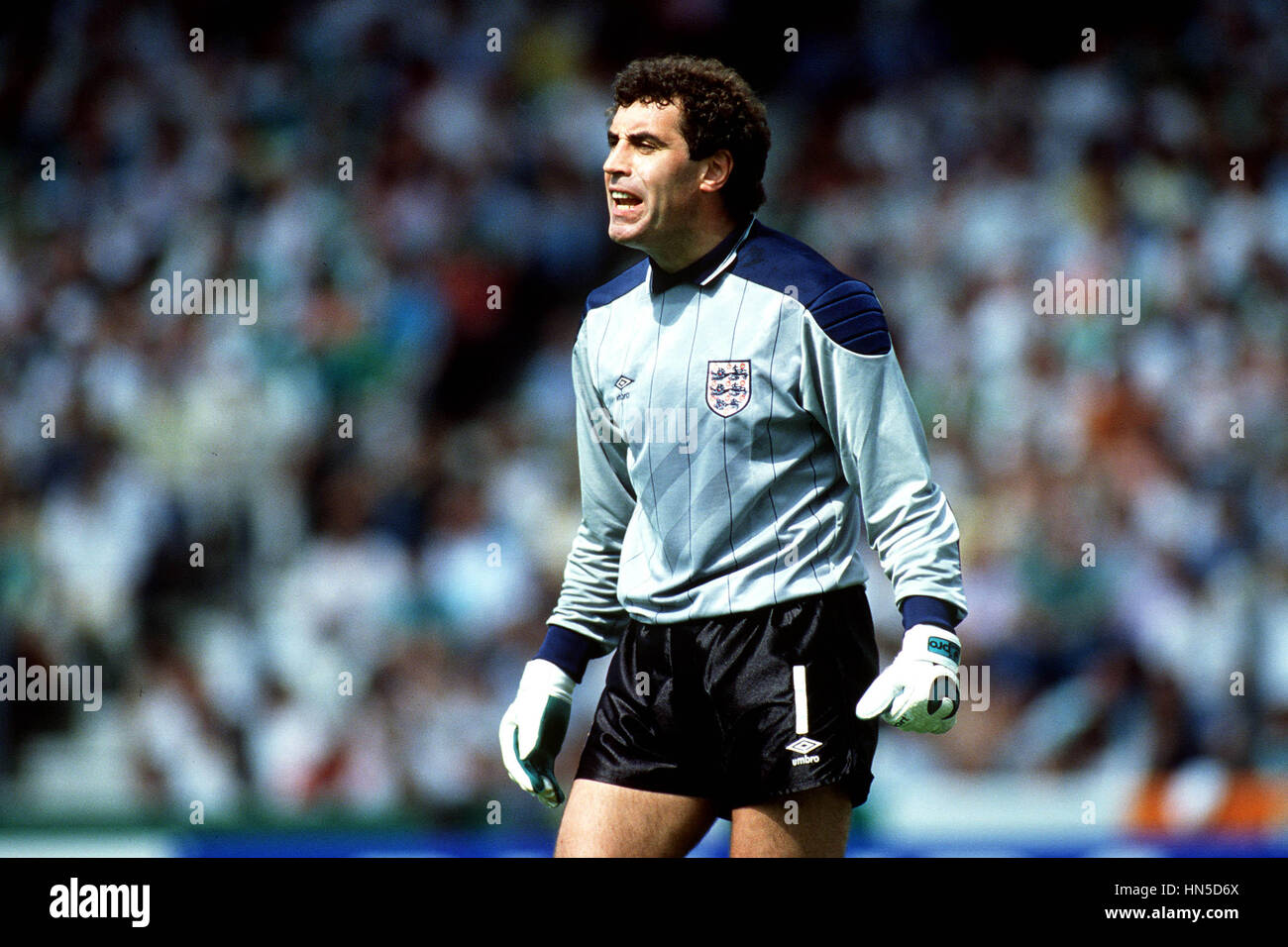 Peter shilton hi-res stock photography and images - Alamy