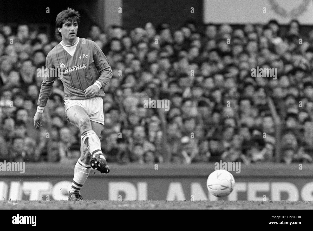 Kevin radcliffe hi-res stock photography and images - Alamy