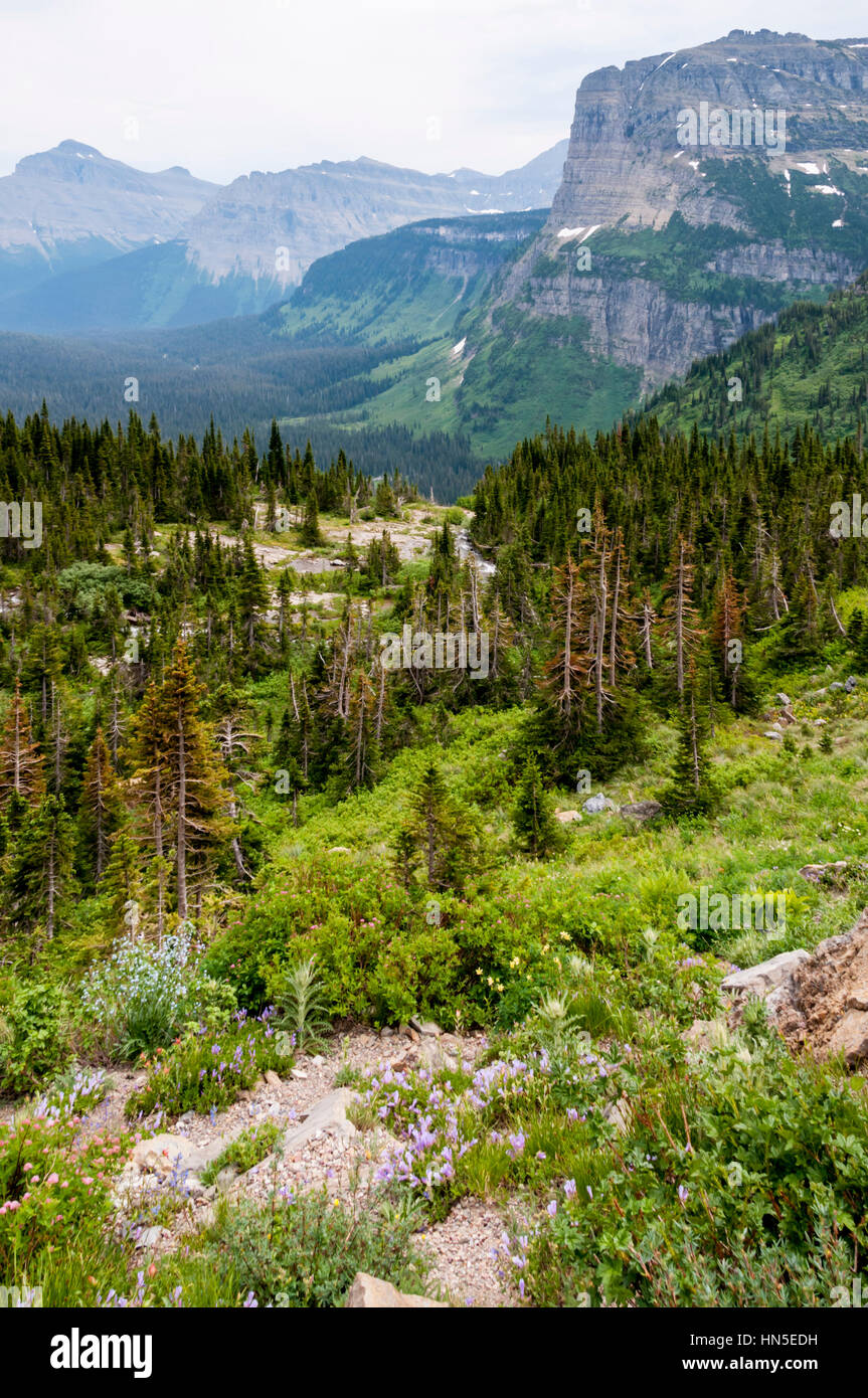 Heavy Runner Mountain ifrom Going-to-the-Sun Road n Glacier National ...