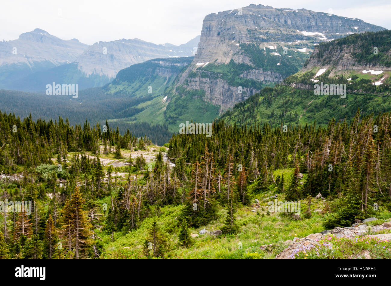 Heavy Runner Mountain High Resolution Stock Photography and Images - Alamy