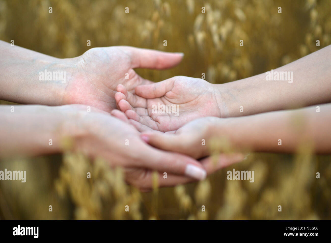 human hands close up Stock Photo - Alamy