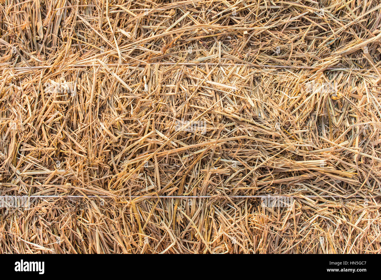 Farm texture hi-res stock photography and images - Alamy