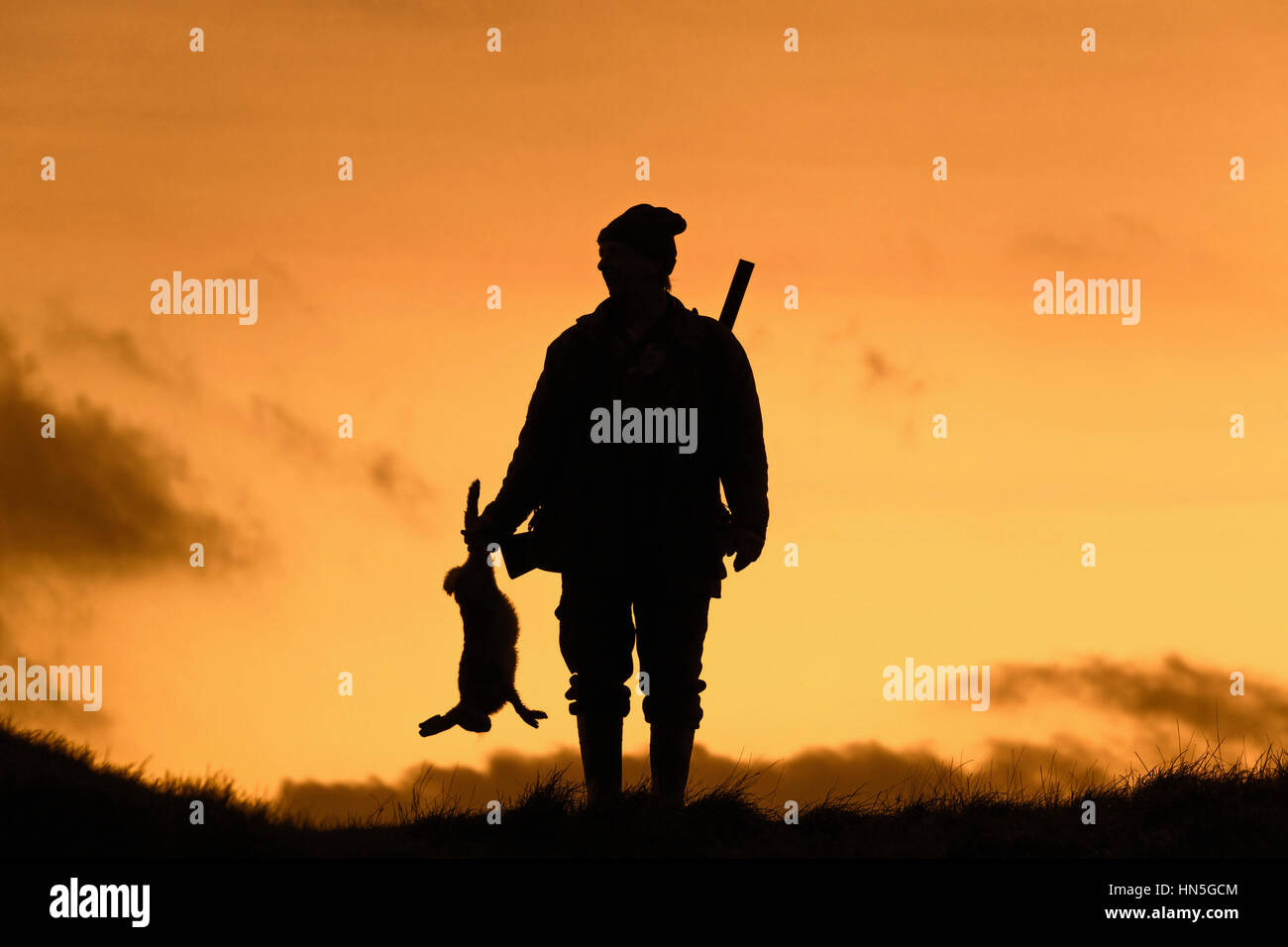Hunter with gun hi-res stock photography and images - Alamy