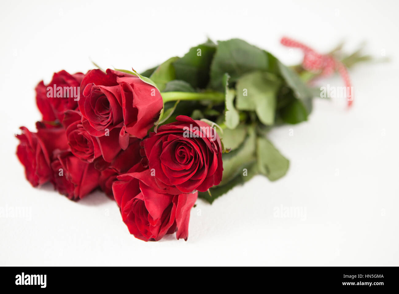 Bunch of red roses against white background Stock Photo - Alamy