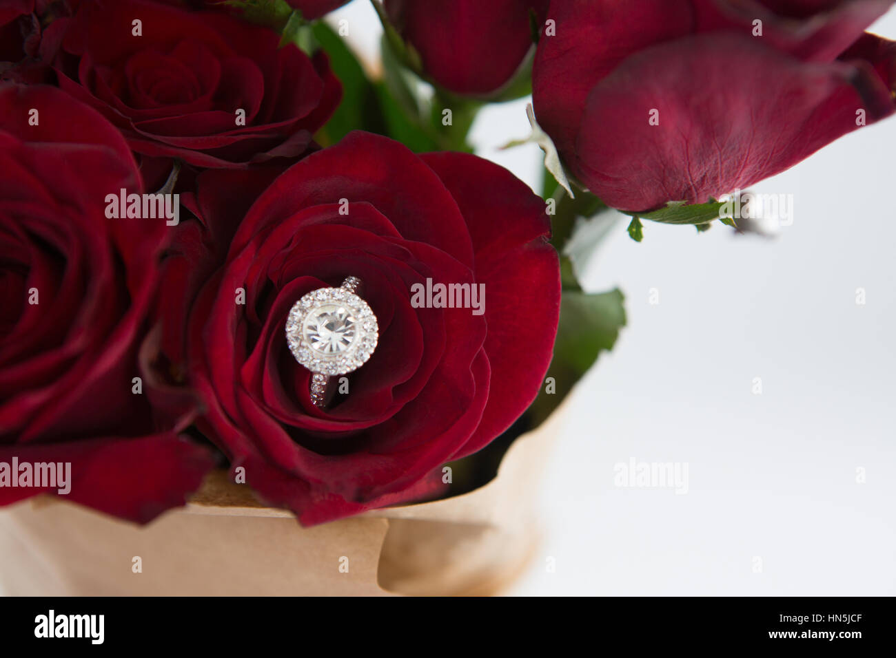 Diamond anniversary rose hi-res stock photography and images - Alamy
