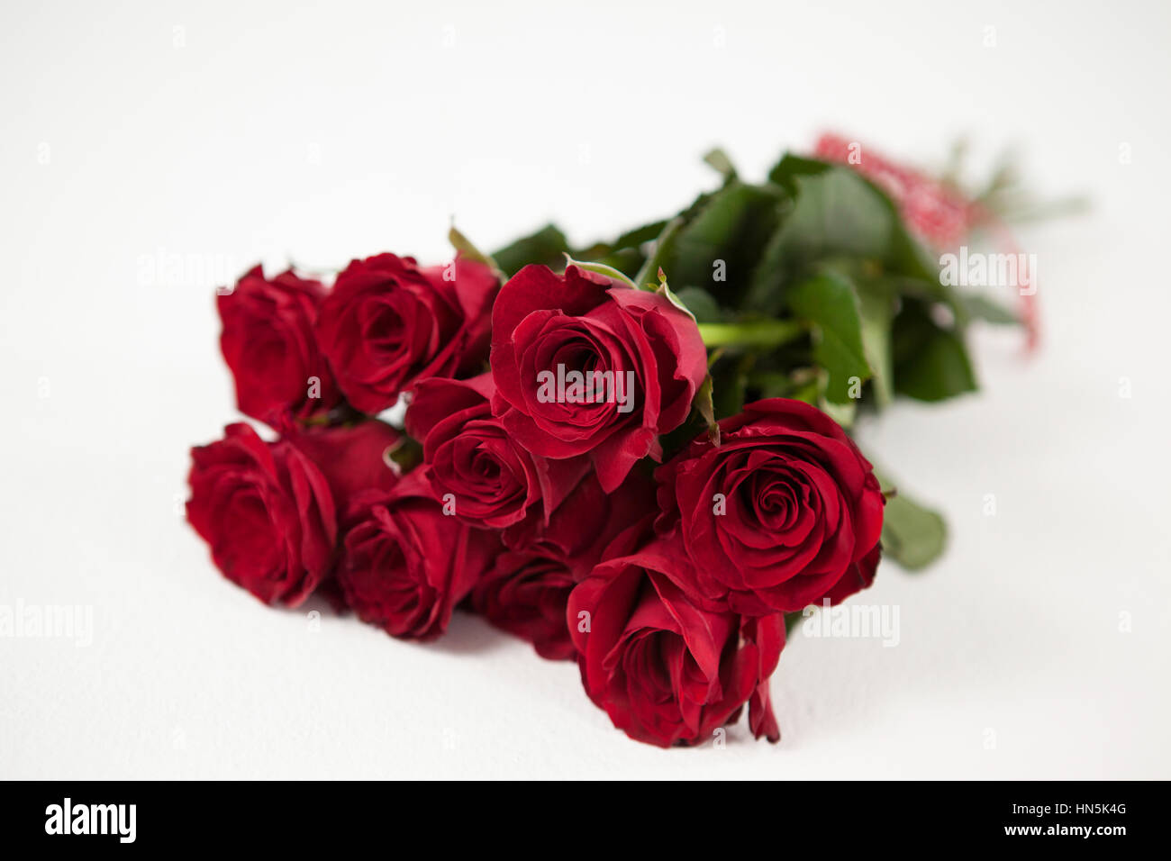 Bunch of red roses against white background Stock Photo - Alamy