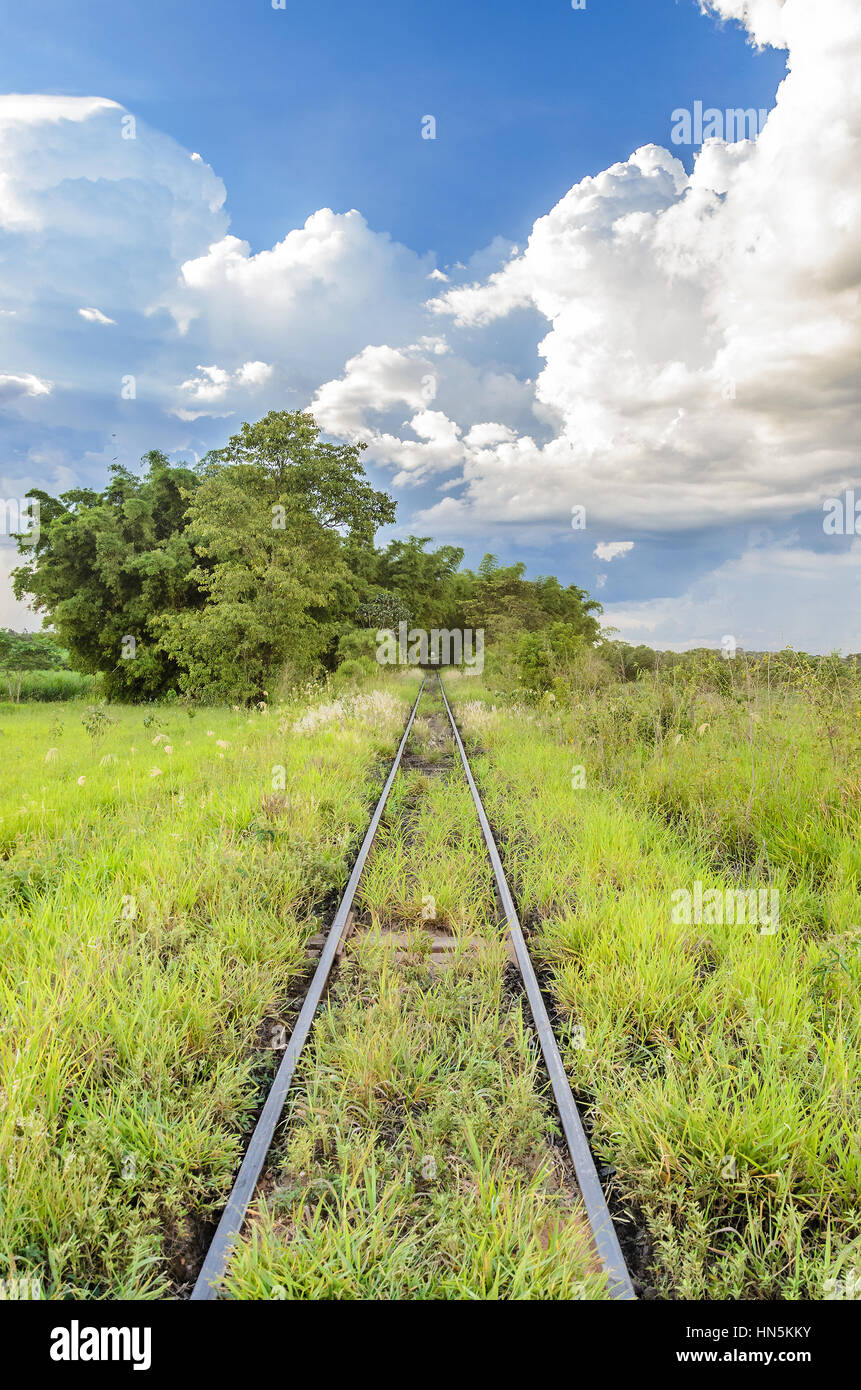 Train entering forest hi-res stock photography and images - Alamy