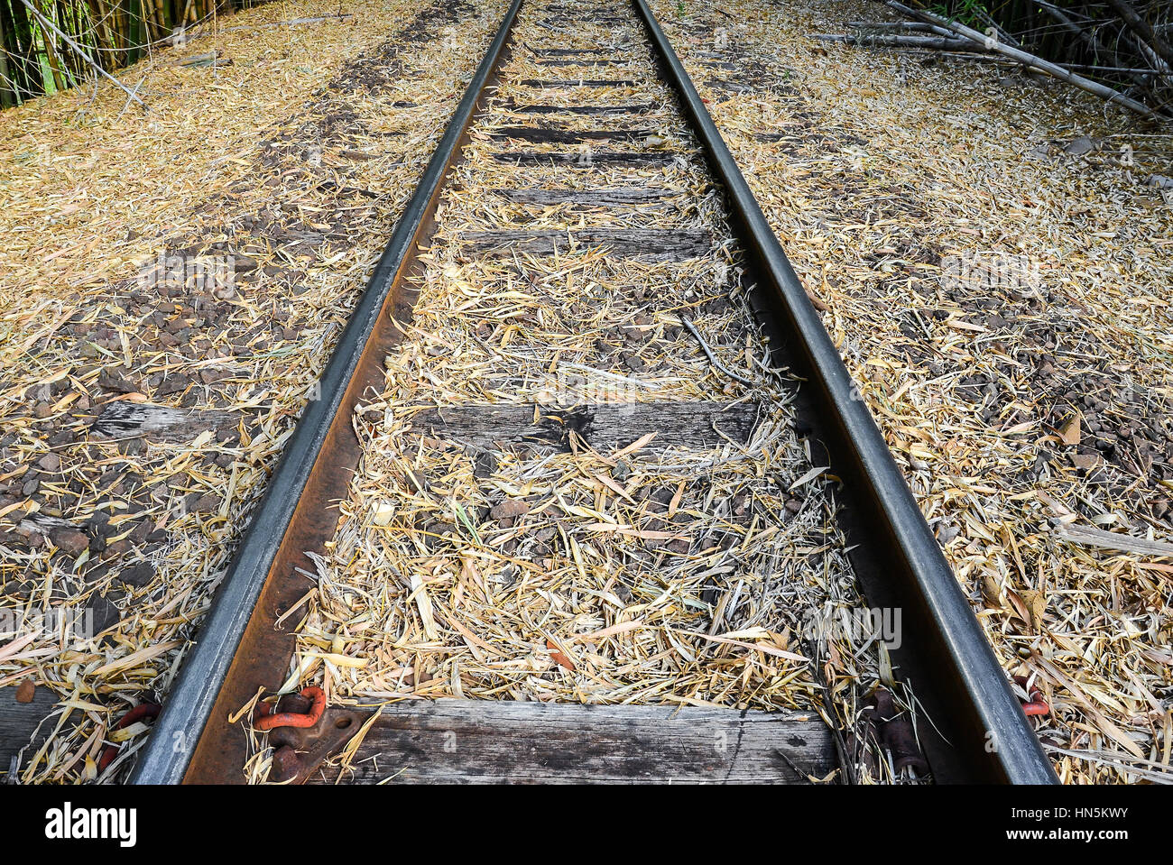 Old train track made of steel, wood and stones. Path full of dried ...