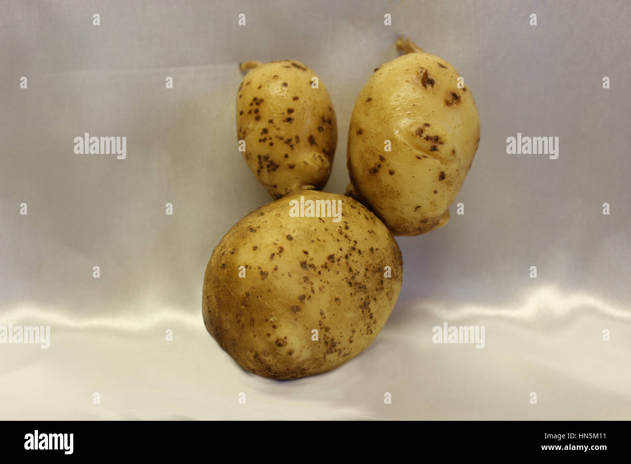 I love potato hi-res stock photography and images - Alamy