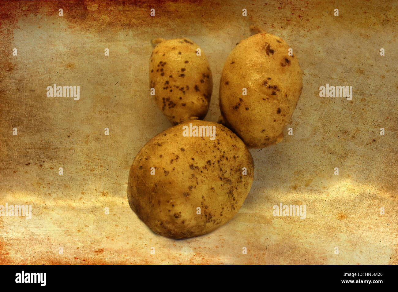 Potato Family of 1 Number 37 of 47 Stock Photo - Alamy