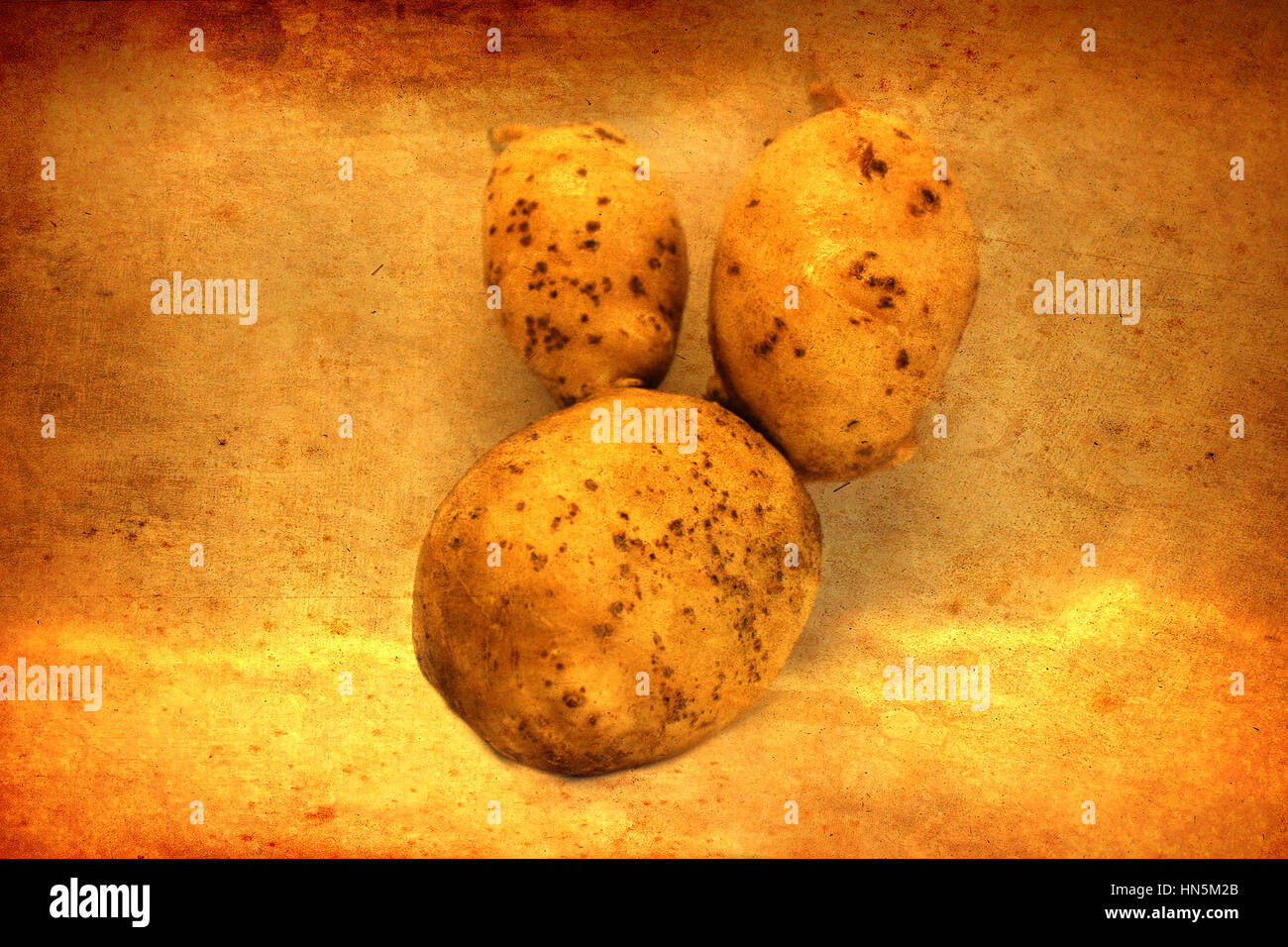 Potato Family of 1 Number 36 of 47 Stock Photo - Alamy