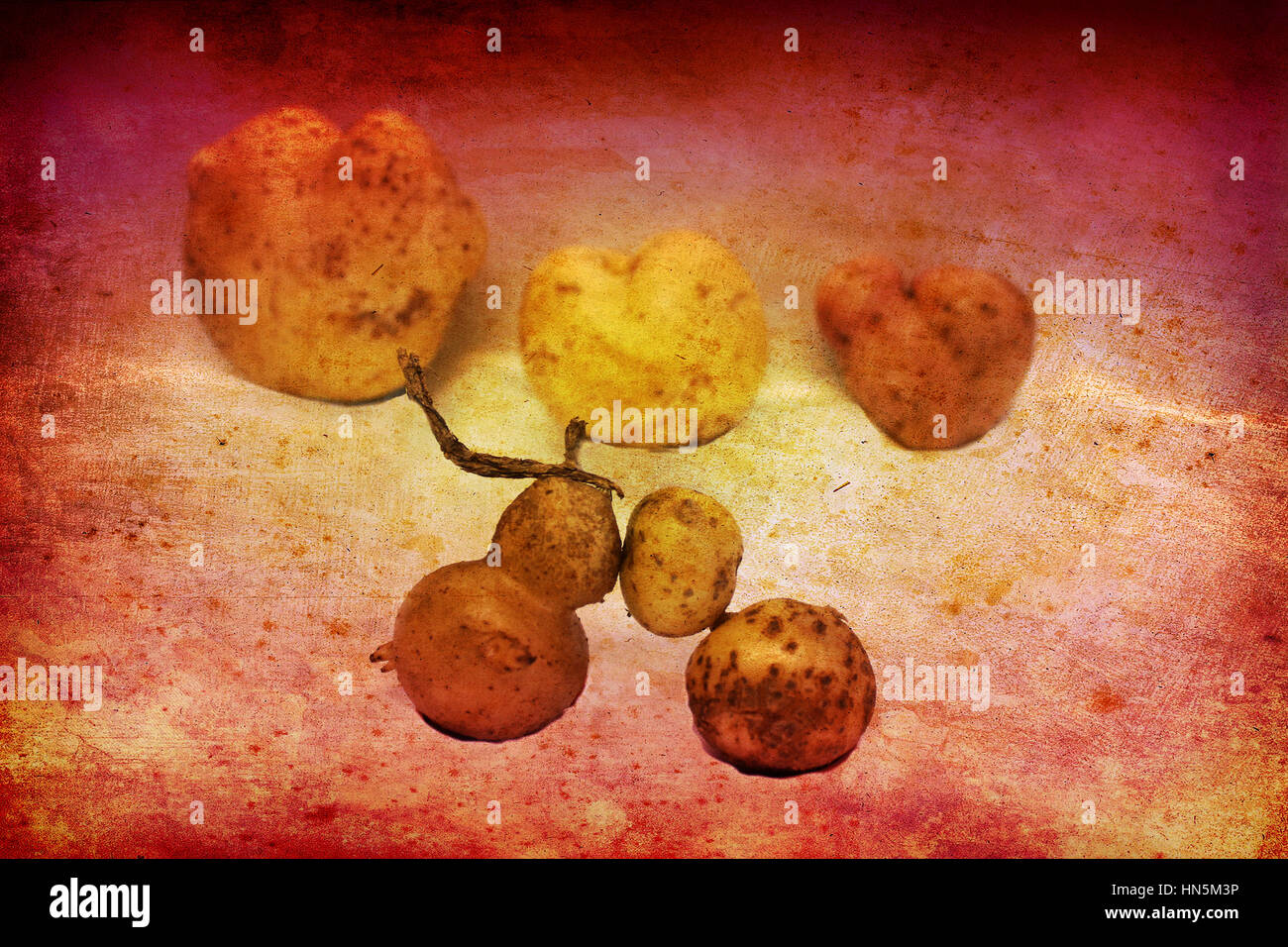 Potato Family of 2 Number 32 of 47 Stock Photo - Alamy