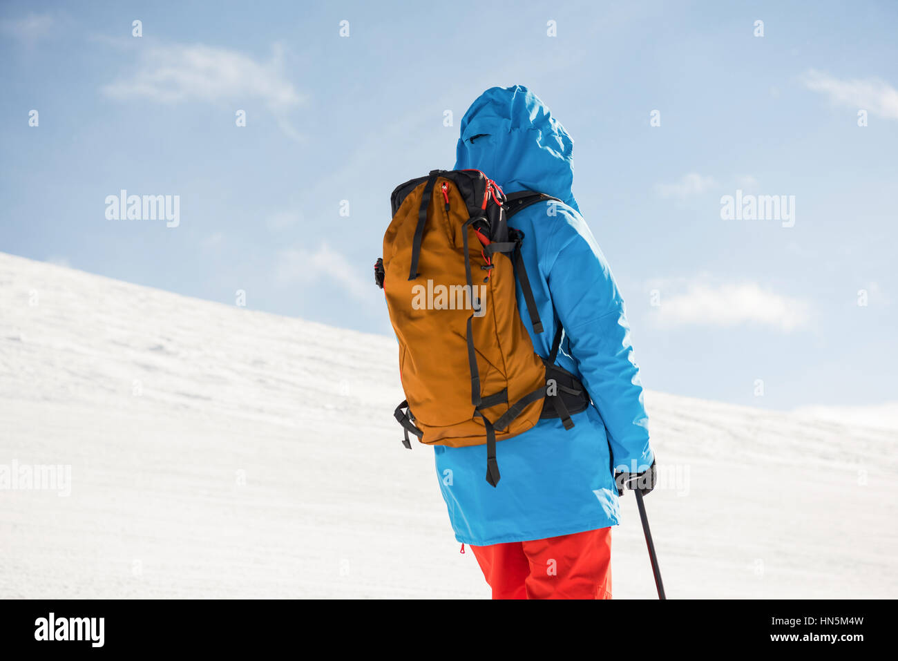 Rear view of skier standing with ski on snowy mountains Stock Photo - Alamy