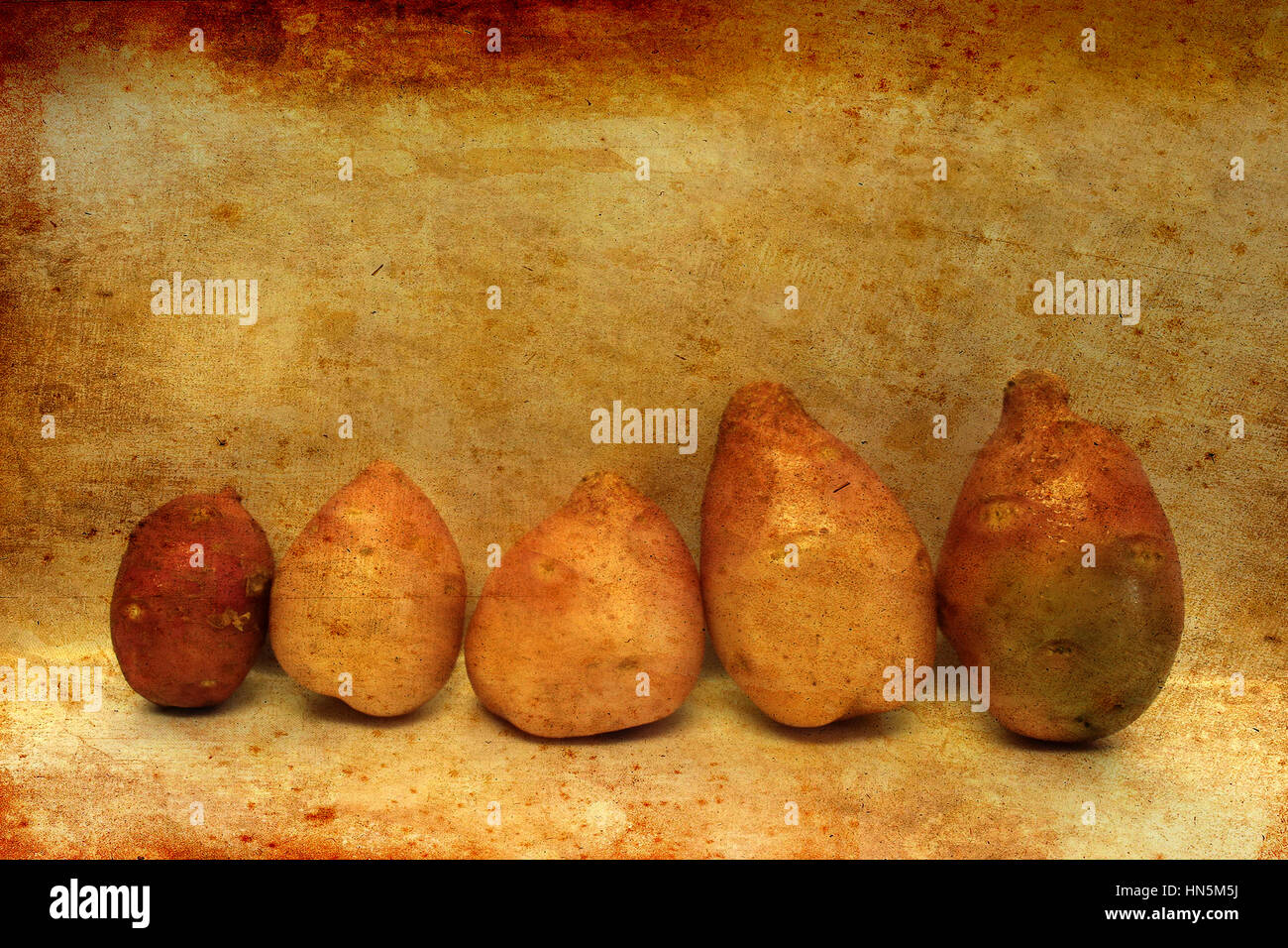 Potato family hi-res stock photography and images - Alamy