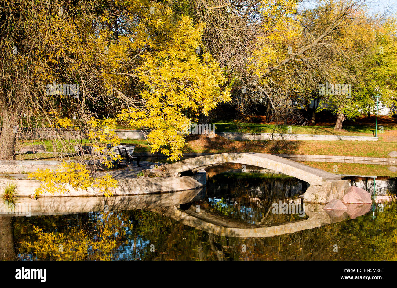 Autumn time year in forest hi-res stock photography and images - Alamy