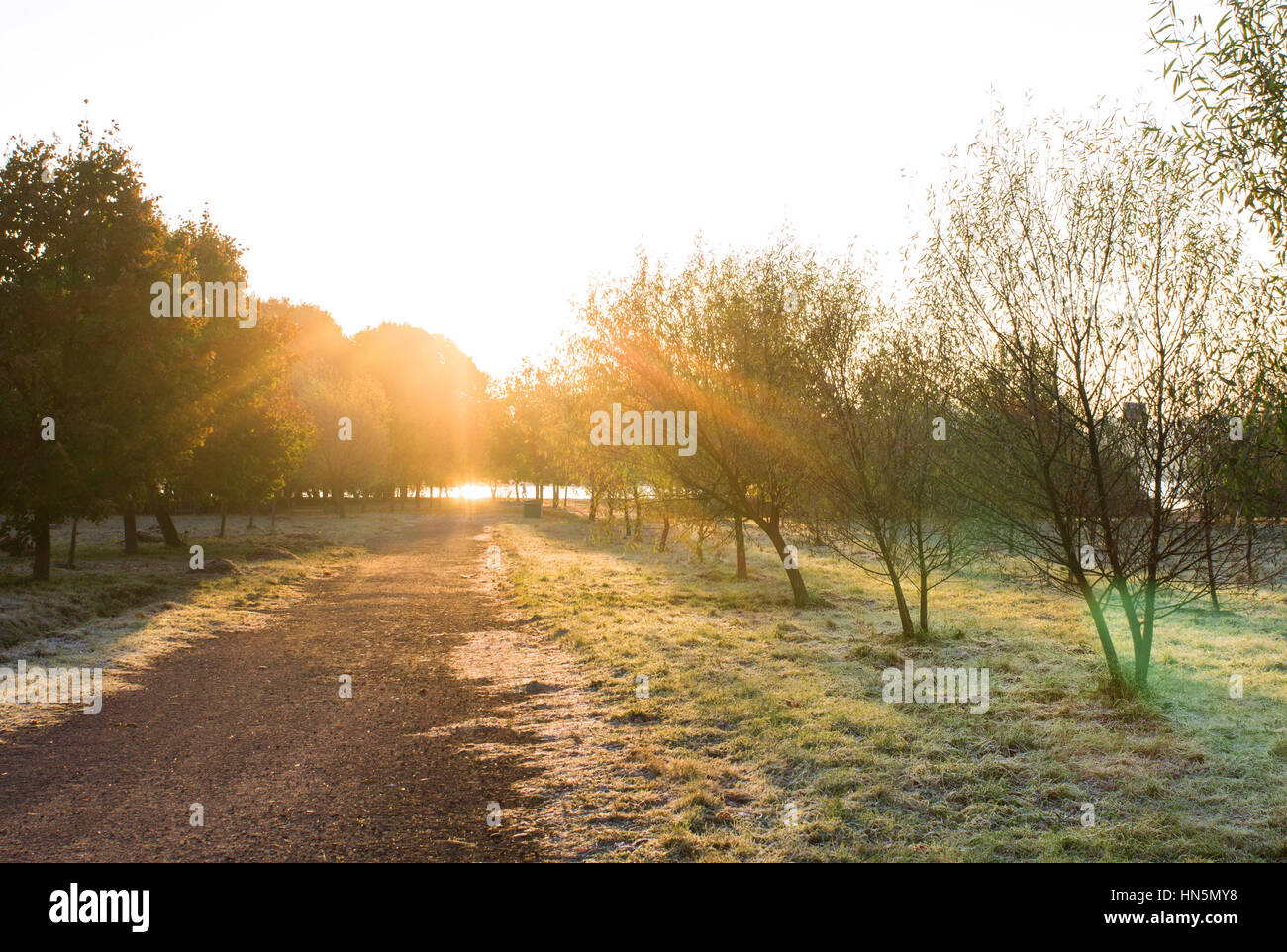 Sunset in autumn park. Autumn landscape. background Stock Photo - Alamy
