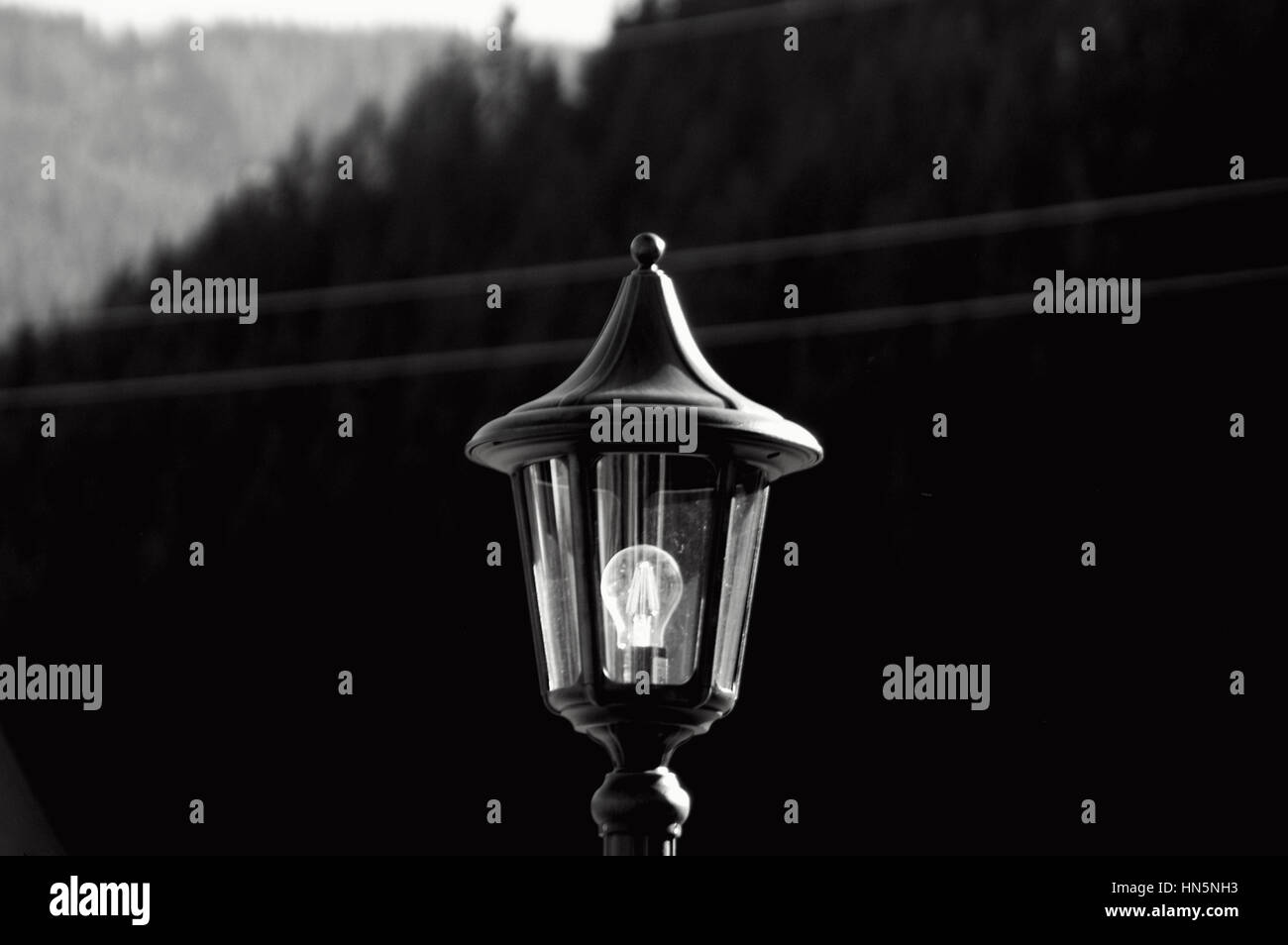 Caption of a street lamp with forest in the background. Classical old ...