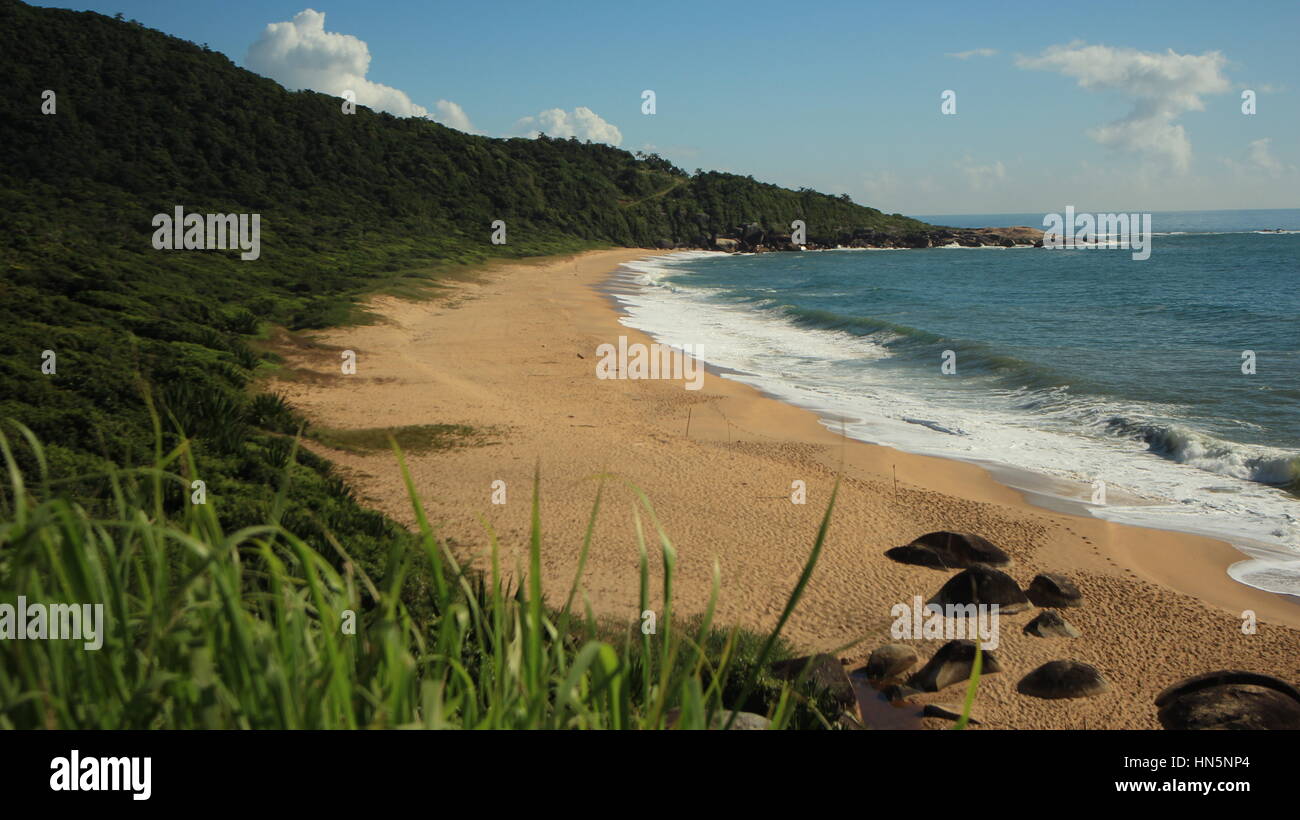 Beautiful Beach in Southern Brazil Stock Photo - Alamy