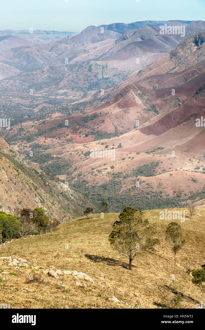 blur in swaziland mlilwane wildlife nature reserve mountain and tree ...