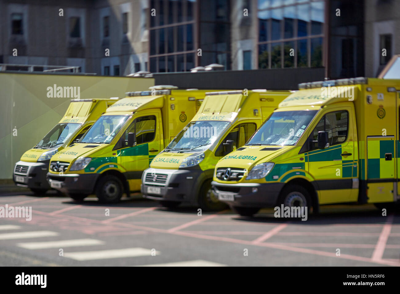 liveried ambulances parked on duty in designated bays at Manchester ...