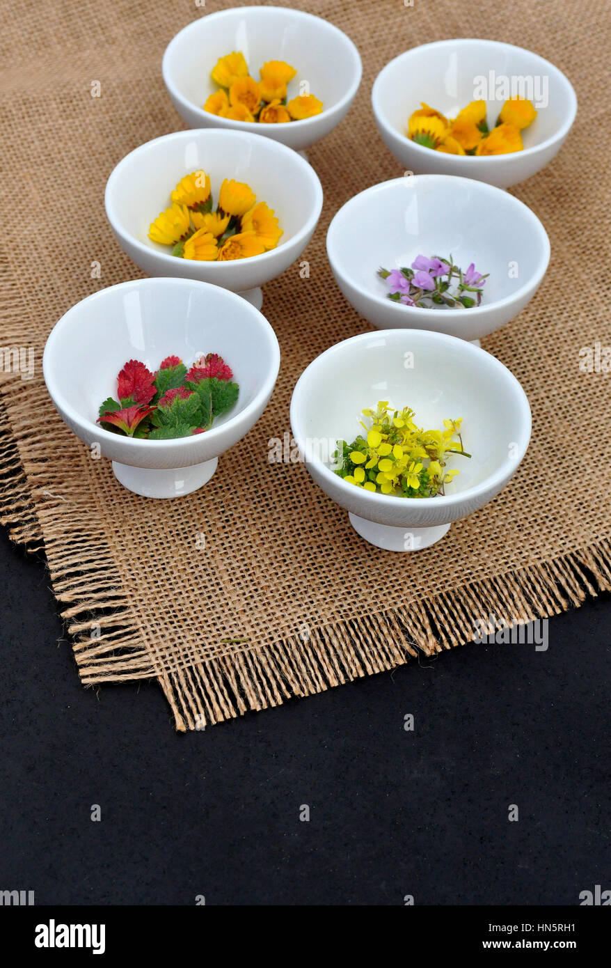 Wild small flowers in white pots Stock Photo - Alamy