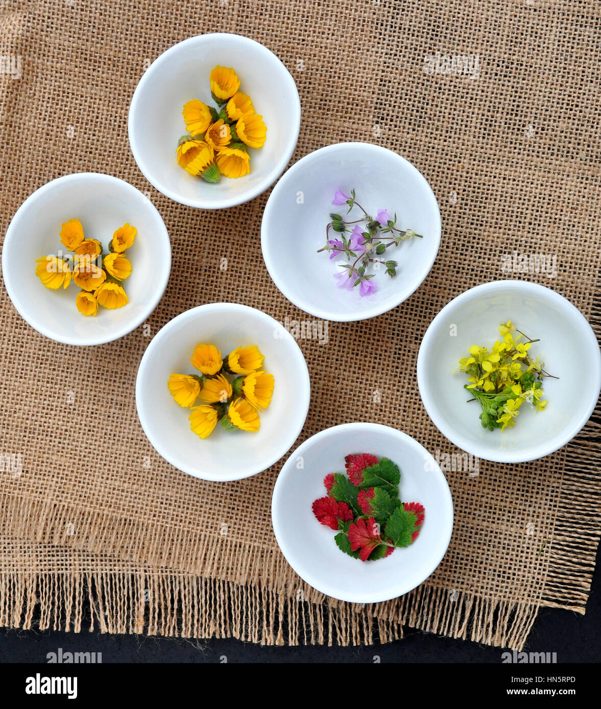 Wild small flowers in white pots Stock Photo - Alamy
