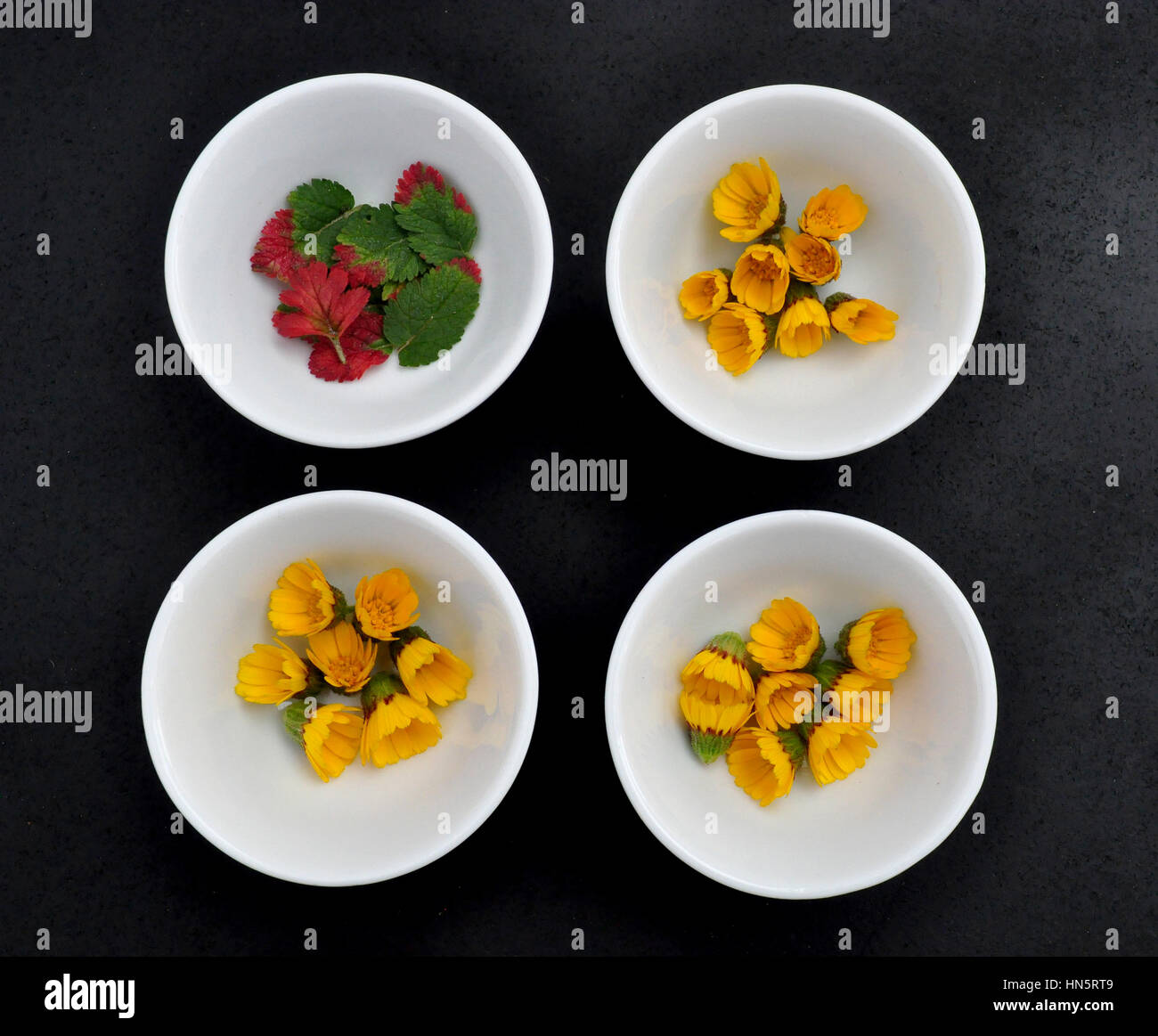 Wild small flowers in white pots Stock Photo - Alamy