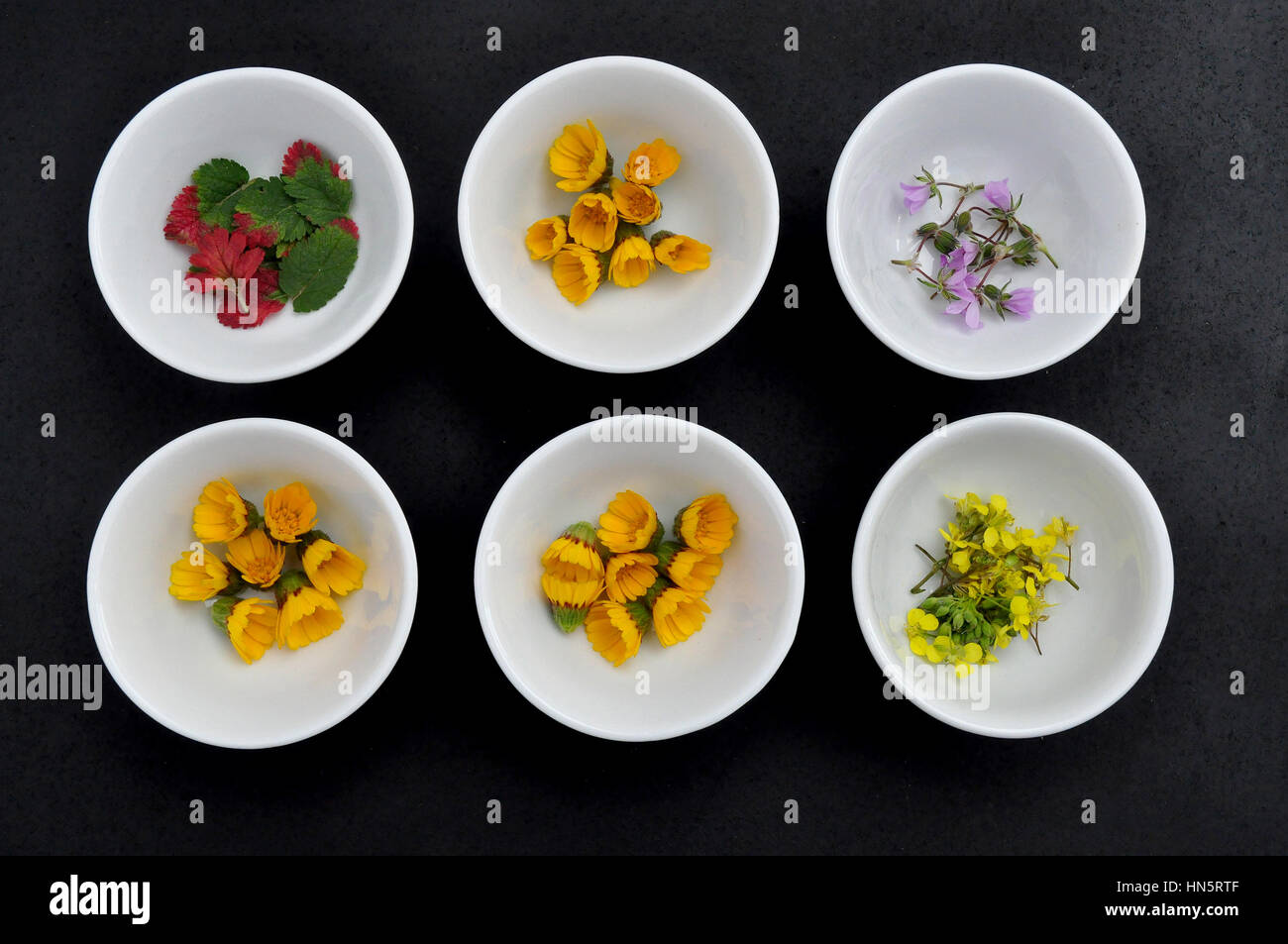 Wild small flowers in white pots Stock Photo - Alamy
