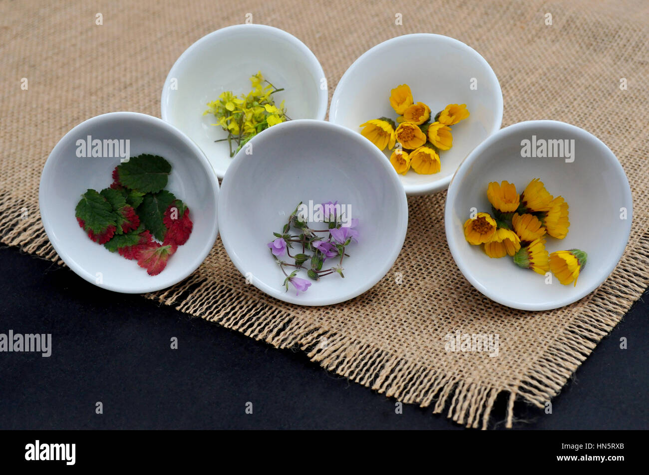 Wild small flowers in white pots Stock Photo - Alamy