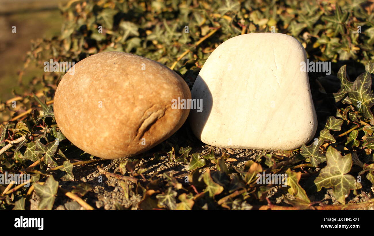 A pair of rocks Stock Photo - Alamy