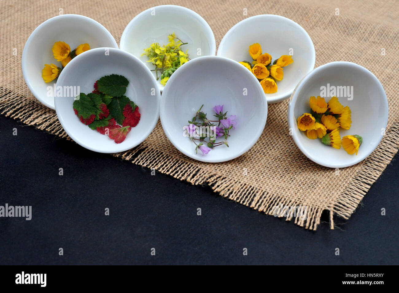 Wild small flowers in white pots Stock Photo - Alamy