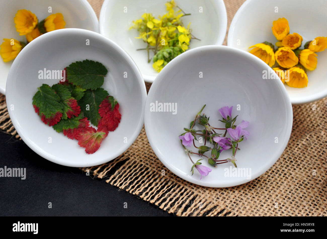 Wild small flowers in white pots Stock Photo - Alamy