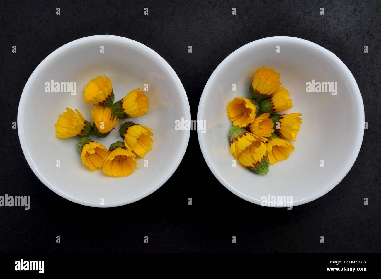 Wild small flowers in white pots Stock Photo - Alamy