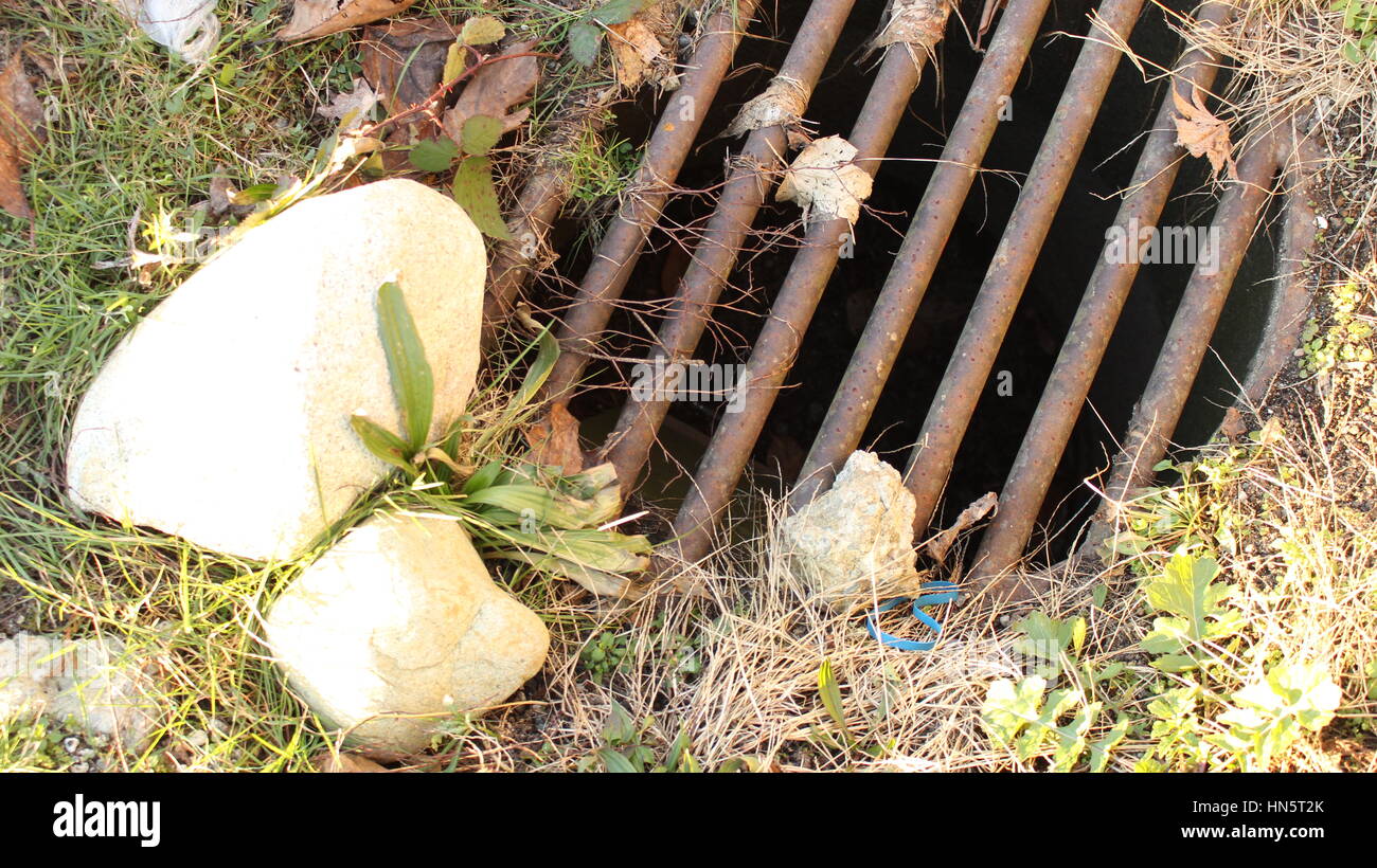 Grate grass hi-res stock photography and images - Alamy