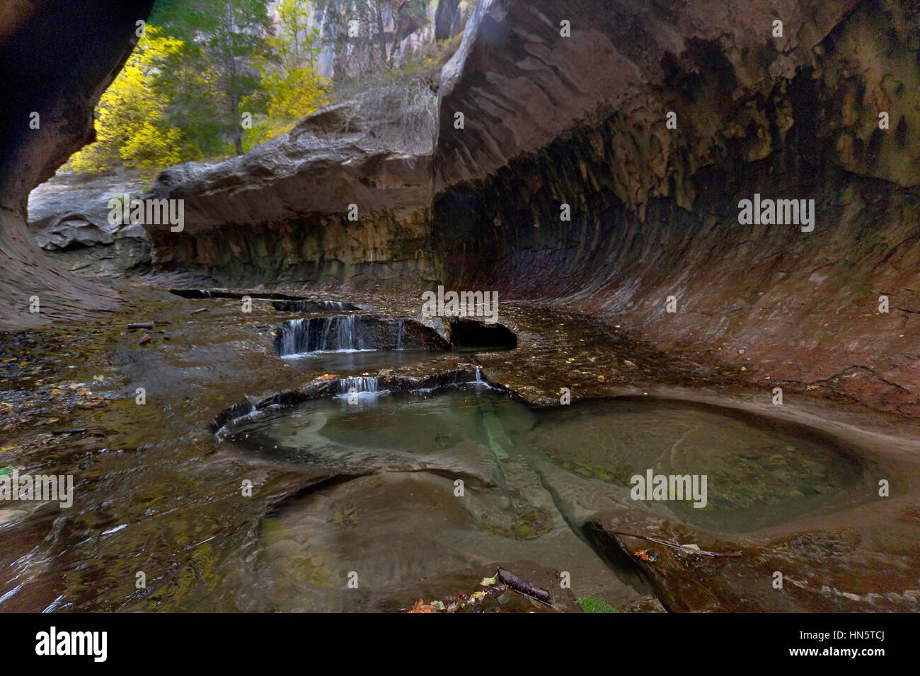 Stream pools along the Virgin River, Subway Hike Trail, Zion National ...