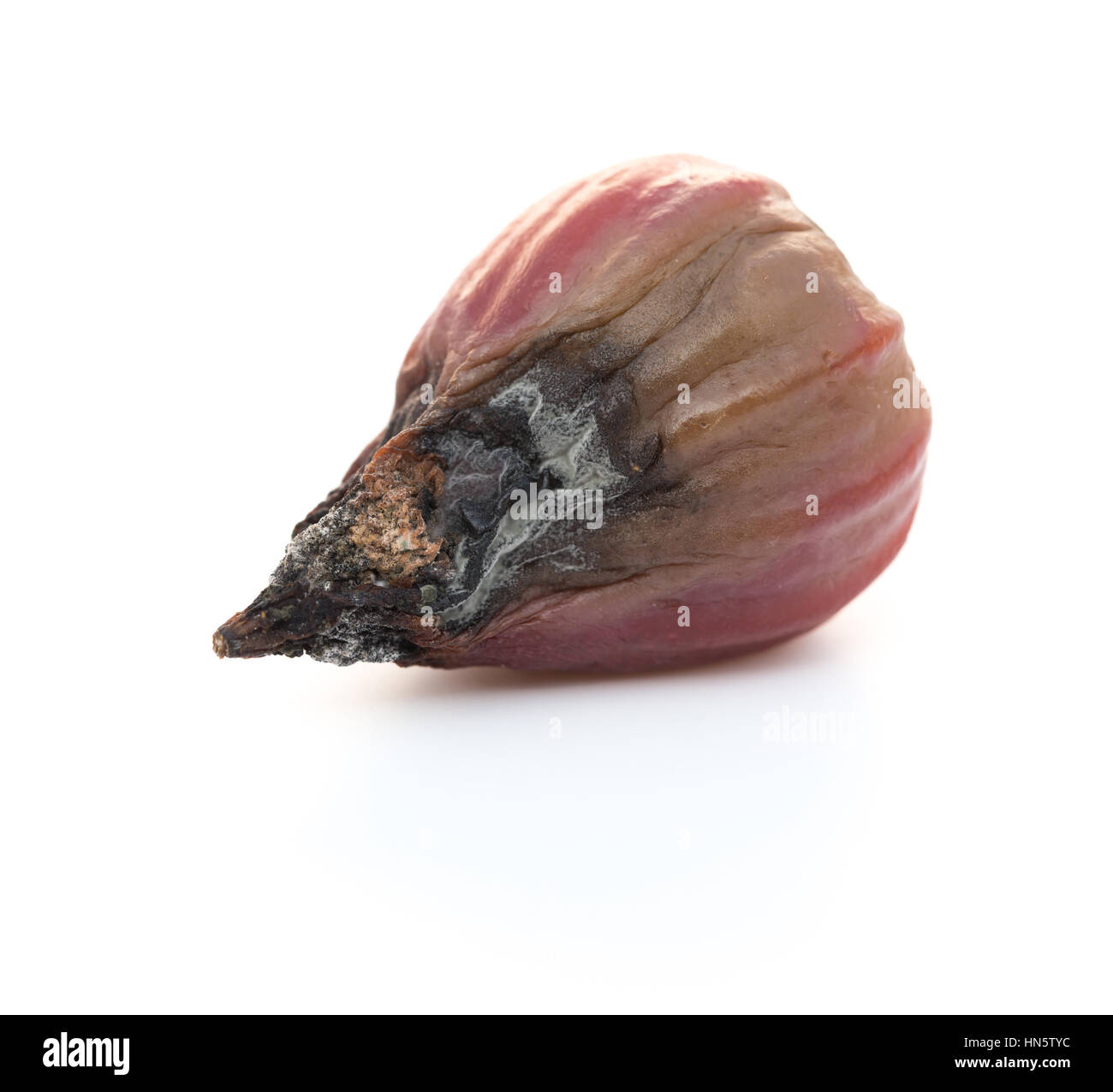 Wax apple hi-res stock photography and images - Alamy