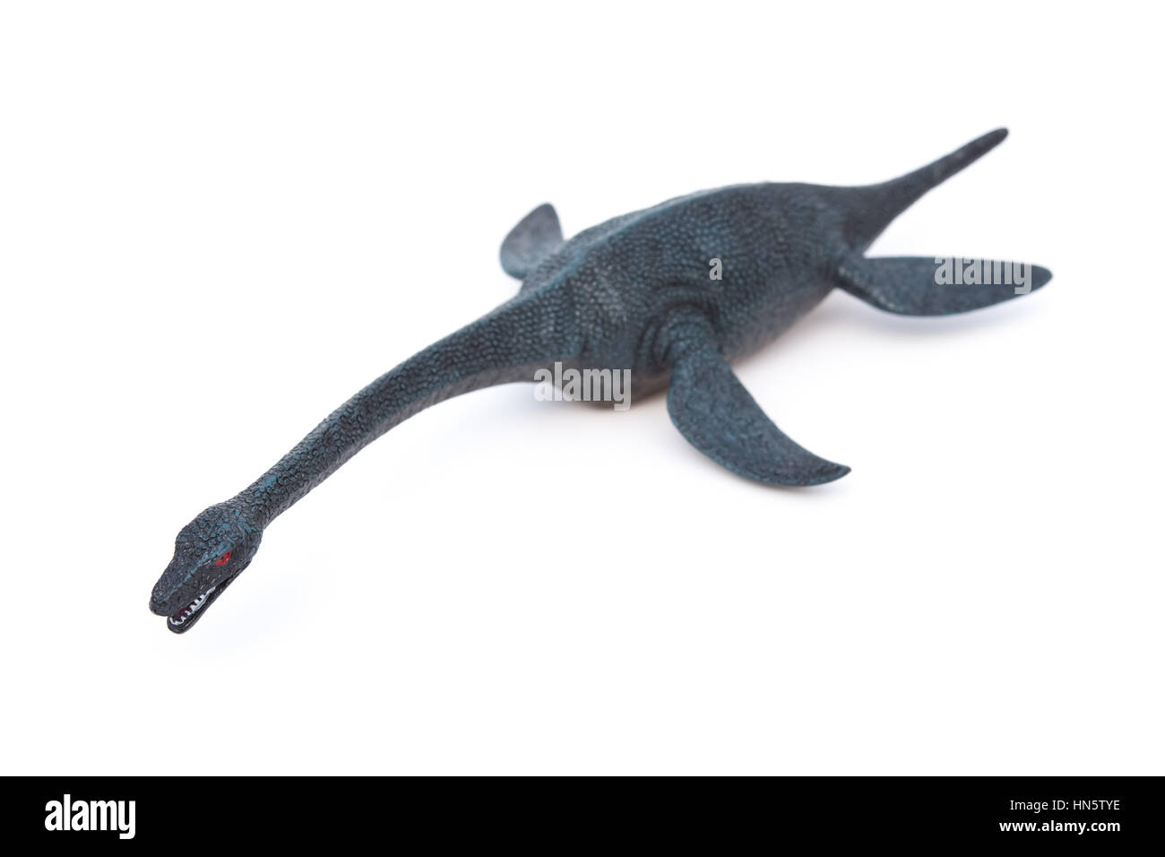 plesiosaurus on a white background Stock Photo - Alamy
