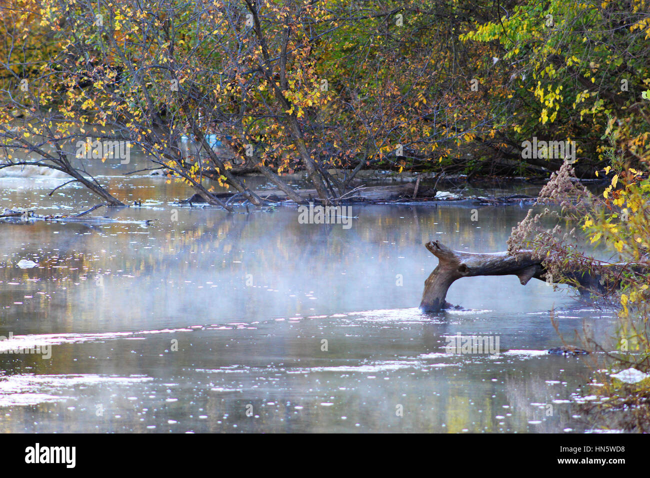Fall Trees along the Iowa River Stock Photo - Alamy