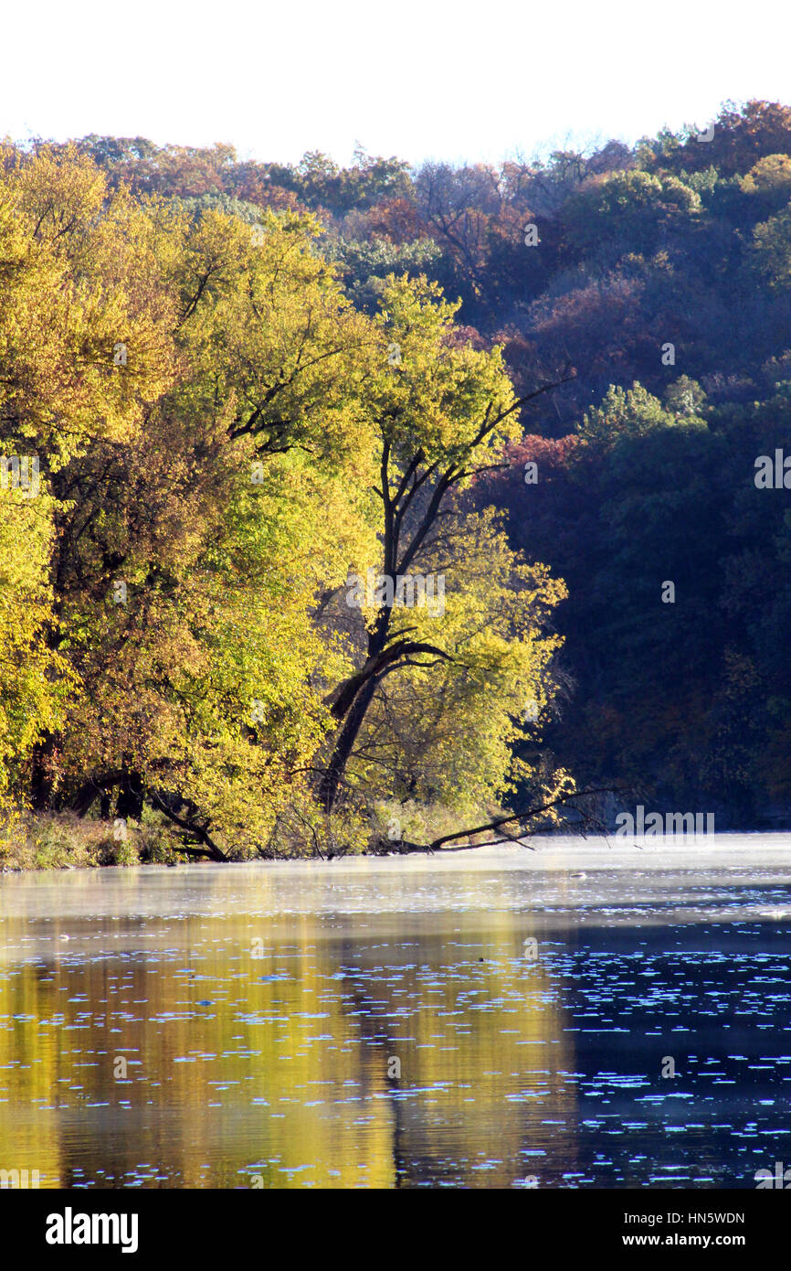 Fall Trees along the Iowa River Stock Photo - Alamy