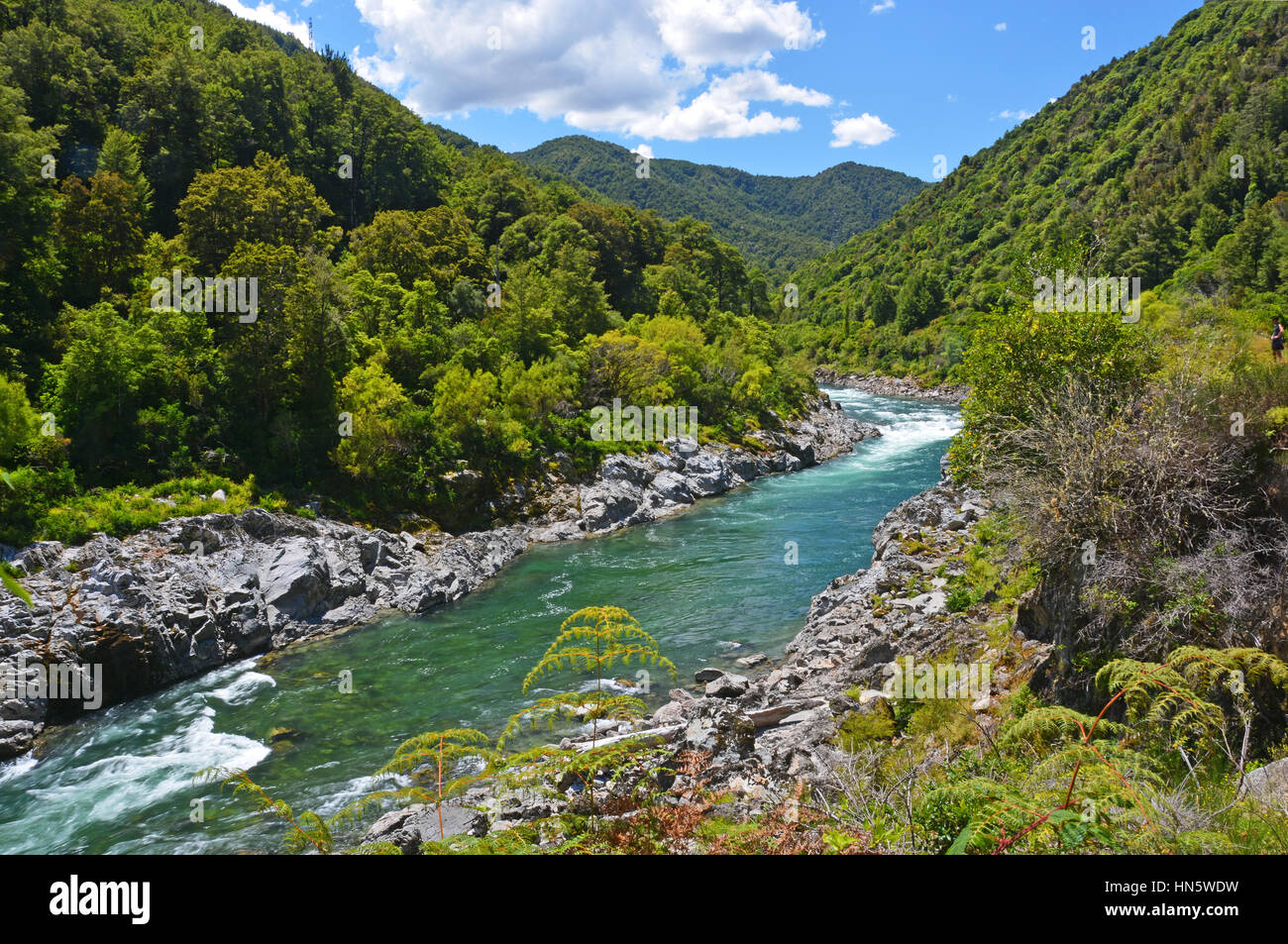 The majestic Buller River entering the Buller Gorge below Murchison ...