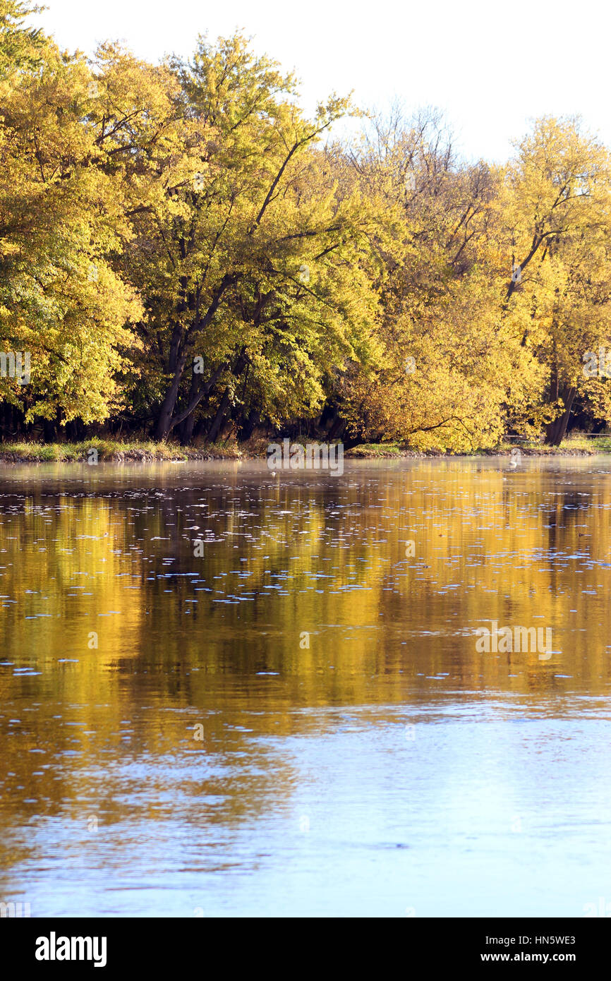 Fall Trees along the Iowa River Stock Photo - Alamy