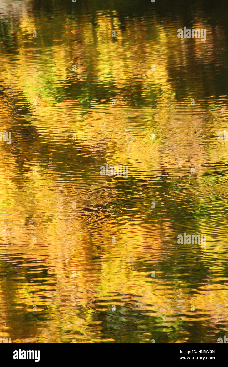 Fall leaves reflection hi-res stock photography and images - Alamy