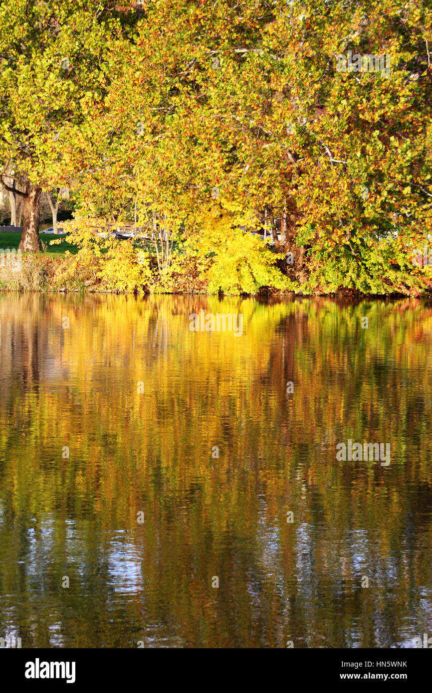 Fall trees along the Iowa River in Iowa City, Iowa, United States 2 of ...