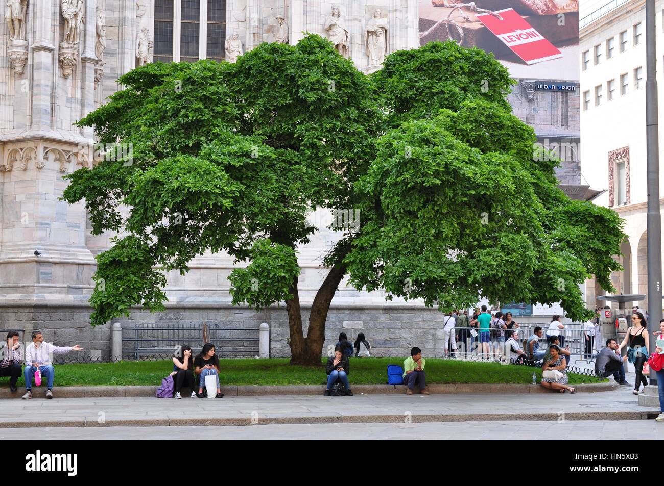 Crowd sitting below a tree Stock Photo - Alamy