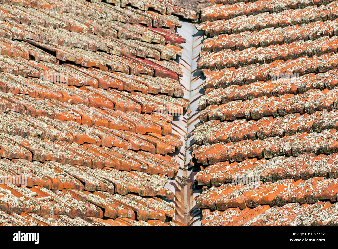 Neglected roof tiles hi-res stock photography and images - Alamy
