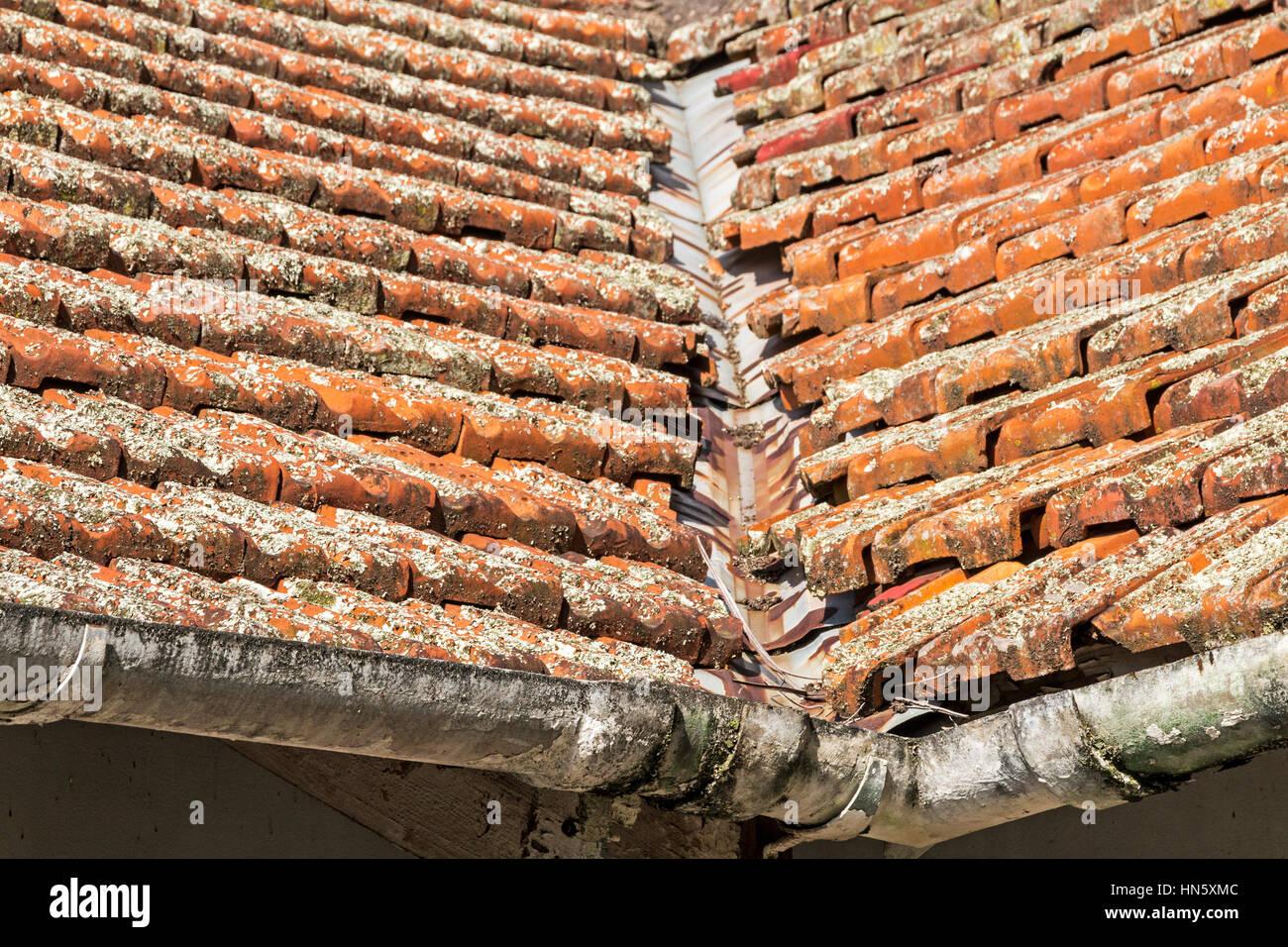 Close up of neglected lichen covered clay roof tiles and rusted old ...