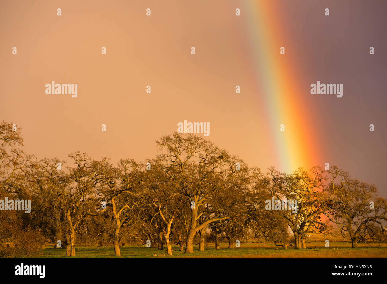Spectrum of light hi-res stock photography and images - Alamy