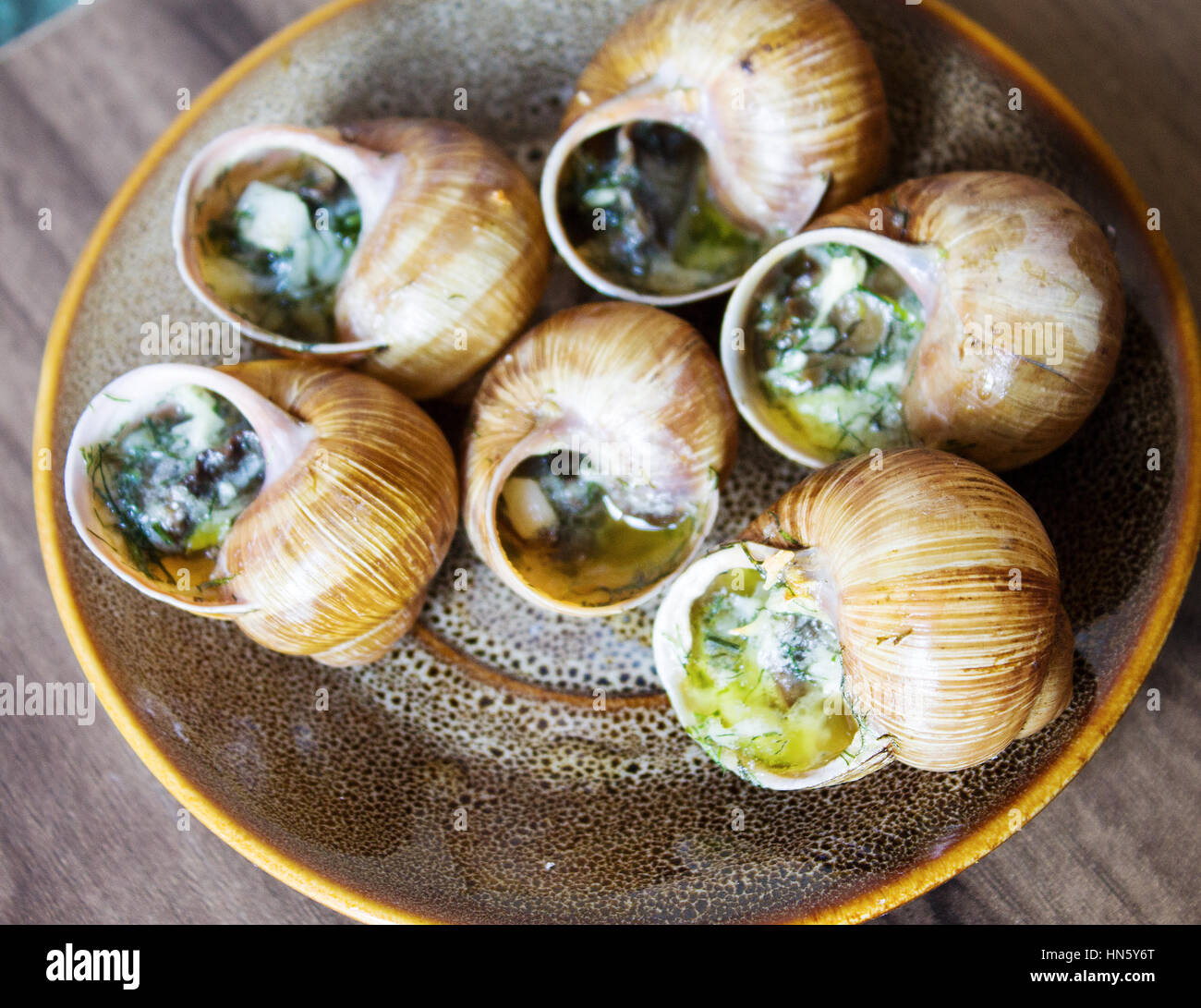 Gastropod dish hi-res stock photography and images - Alamy