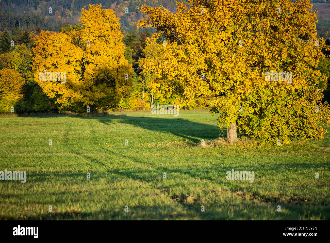 autumn landscape with colorful trees, Moravia, Czech republic, Europe ...